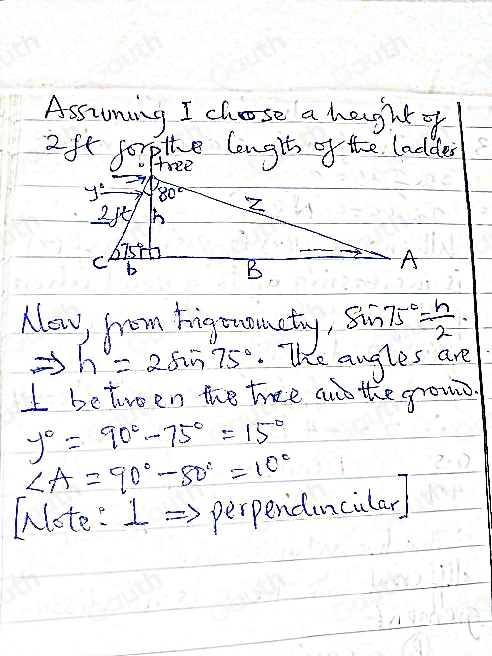 Solved: Complete the diagram by identifying the missing angles. Use the ...