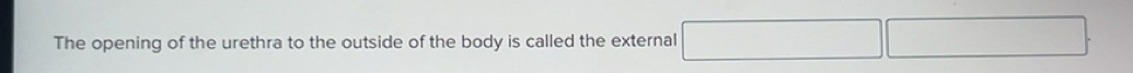 Solved: The opening of the urethra to the outside of the body is called ...