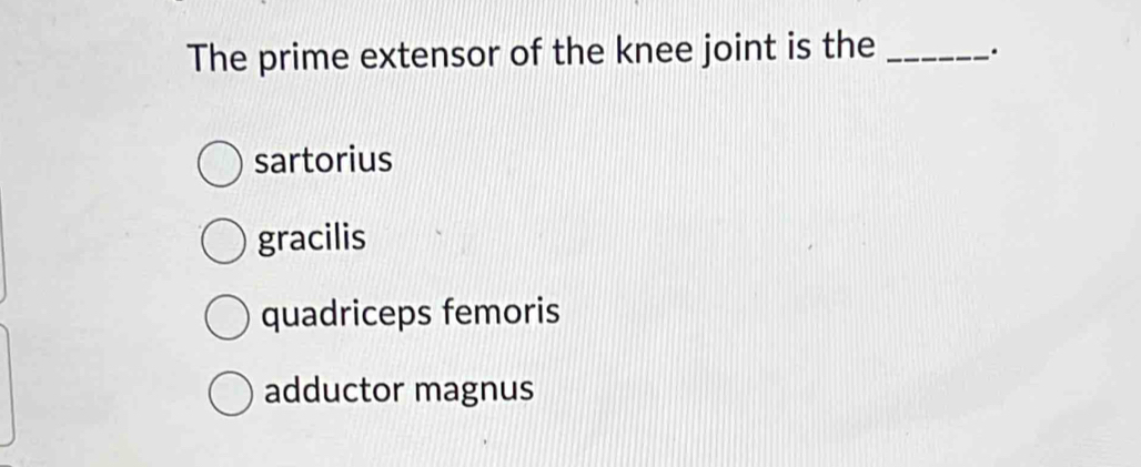 Solved: The prime extensor of the knee joint is the _. sartorius ...