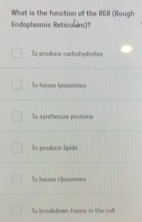 Solved: What is the function of the RER (Rough Endoplasmic Reticulum ...