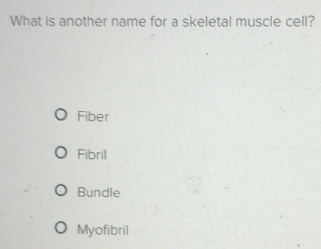 Solved: What is another name for a skeletal muscle cell? Fiber Fibril ...
