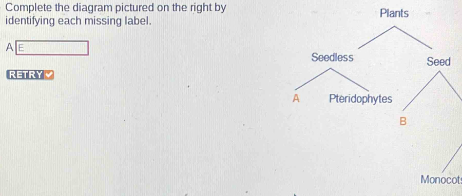 Solved: Complete the diagram pictured on the right by identifying each ...