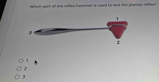 Solved: Which part of the reflex hammer is used to test the plantar ...