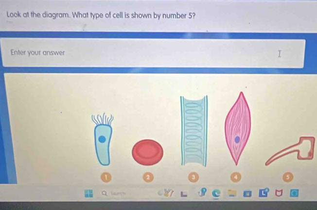 Solved: Look at the diagram. What type of cell is shown by number 5? Enter your answer 1 2 a 4 ...