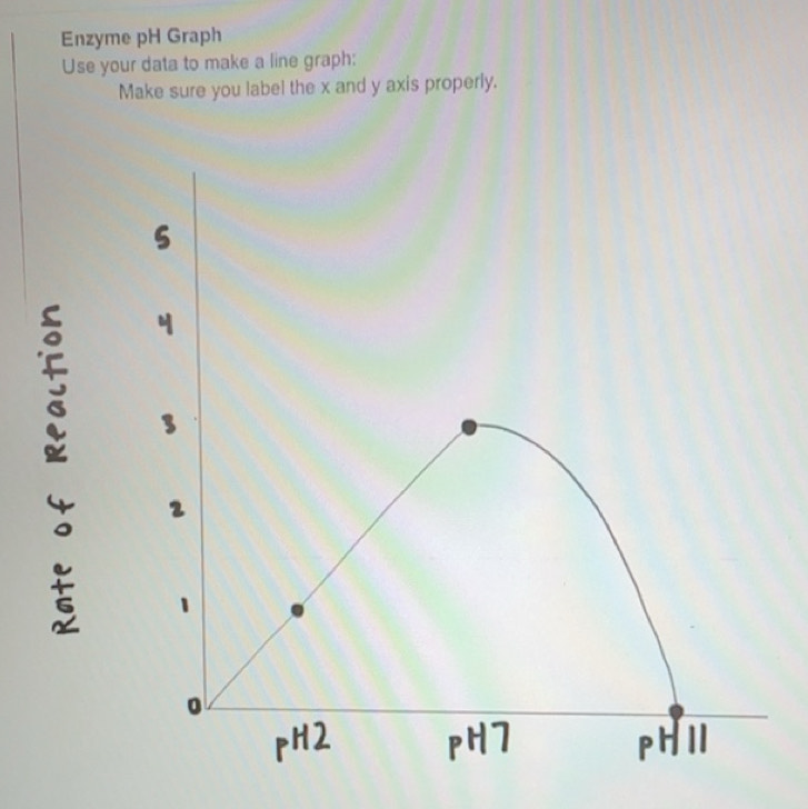 Solved: Enzyme pH Graph Use your data to make a line graph: Make sure ...
