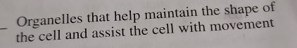 Solved: Organelles that help maintain the shape of _the cell and assist ...