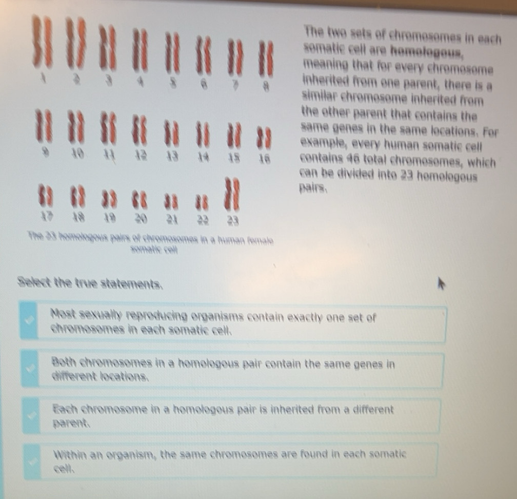 Solved: The two sets of chromosomes in each somatic cell are homologous ...