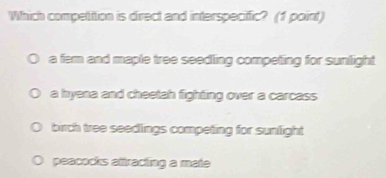 Solved: Which competition is direct and interspecific? (1 point) a fem ...
