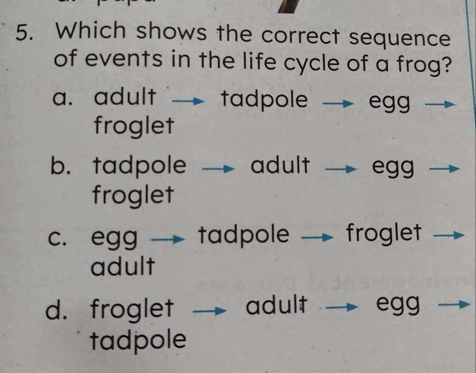 Solved: Which shows the correct sequence of events in the life cycle of ...