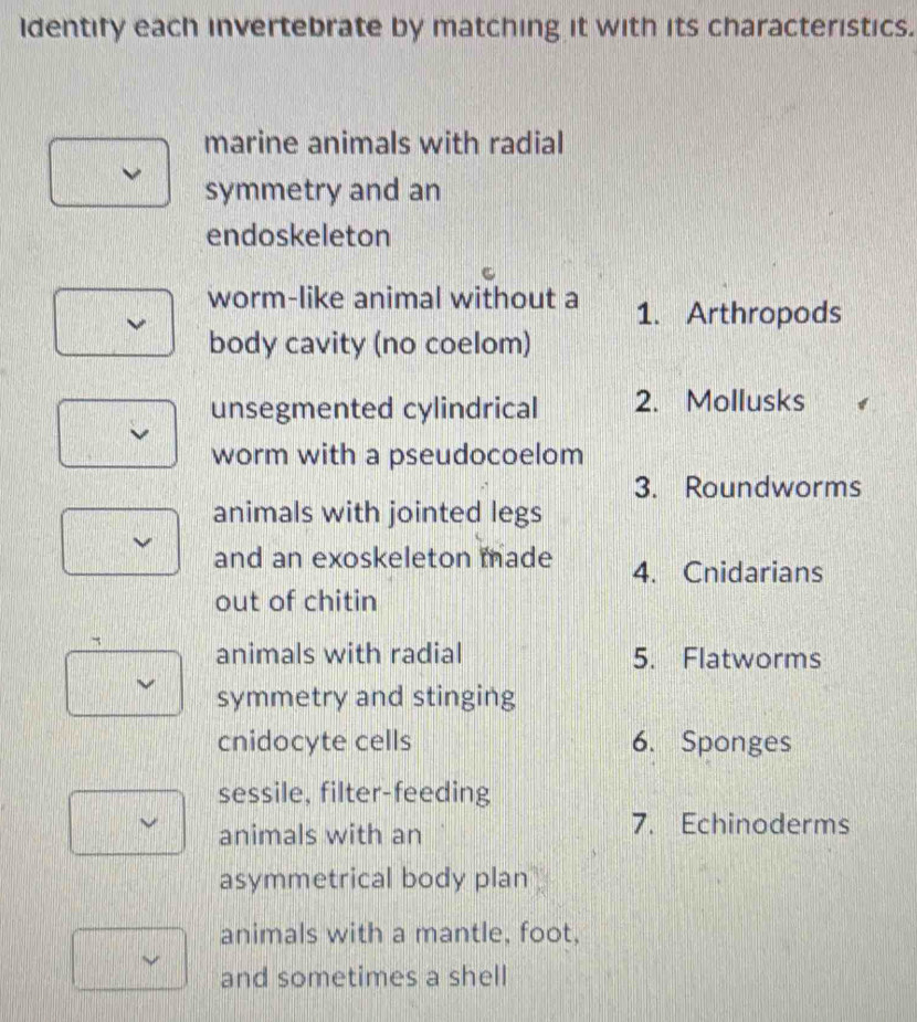 Solved: Identify each invertebrate by matching it with its ...