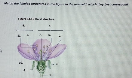 Solved: Match the labeled structures in the figure to the term with ...