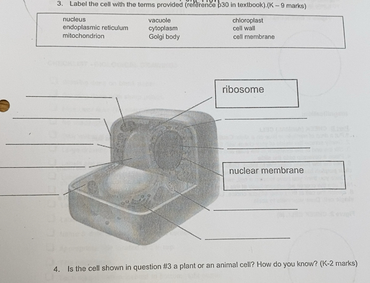 Solved: Label the cell with the terms provided (reference p30 in ...