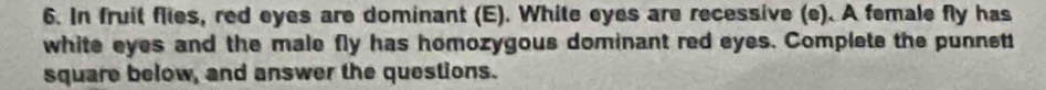 Solved: In fruit flies, red eyes are dominant (E). White eyes are ...