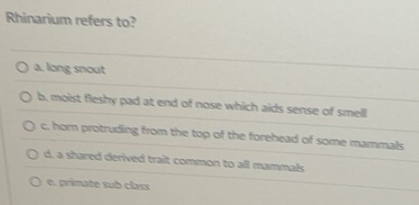 Solved: Rhinarium refers to? a. long snout b. moist fleshy pad at end ...