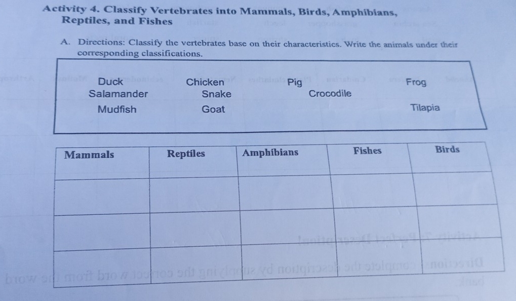 Solved: Activity 4. Classify Vertebrates into Mammals, Birds ...