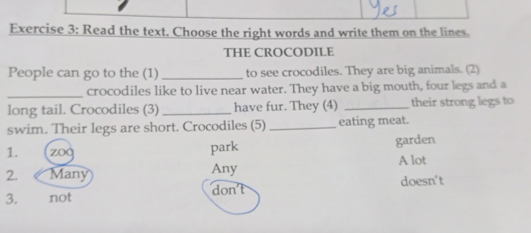 Giải quyết:Read the text. Choose the right words and write them on the ...