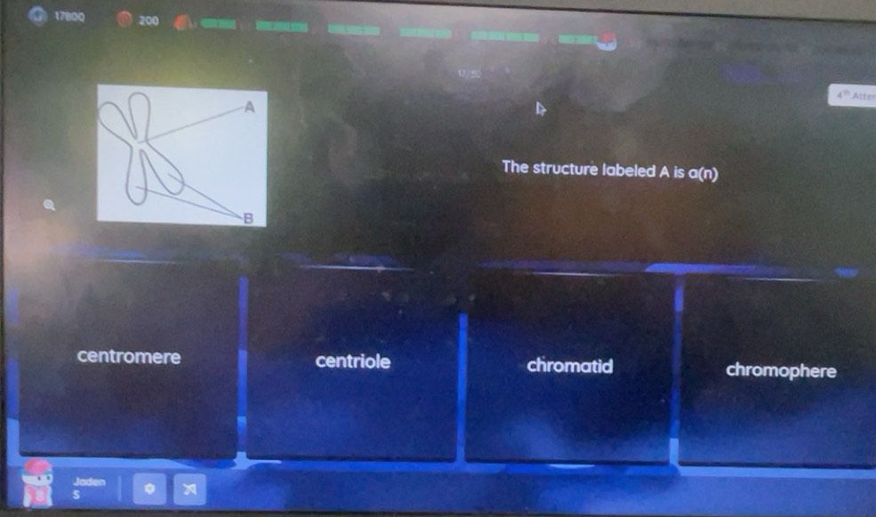 Solved: 17800 200 4^(th) Aste A The structure labeled A is a(n) B ...