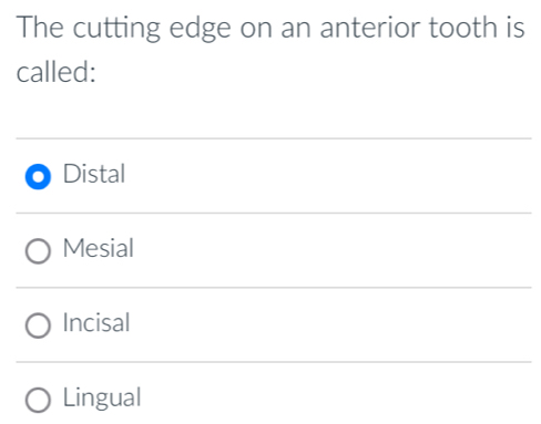 Solved: The cutting edge on an anterior tooth is called: Distal Mesial ...