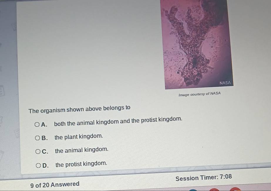 Solved: The organism shown above belongs to A. both the animal kingdom ...