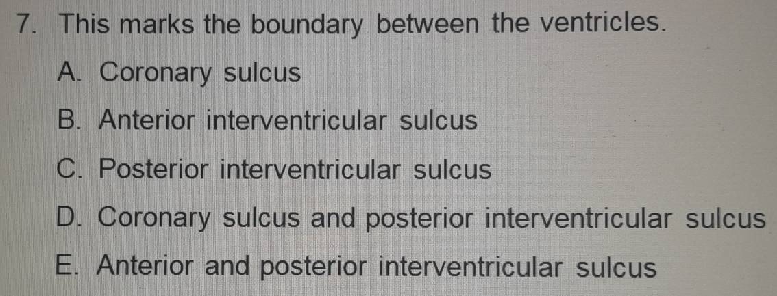 Solved: This marks the boundary between the ventricles. A. Coronary ...