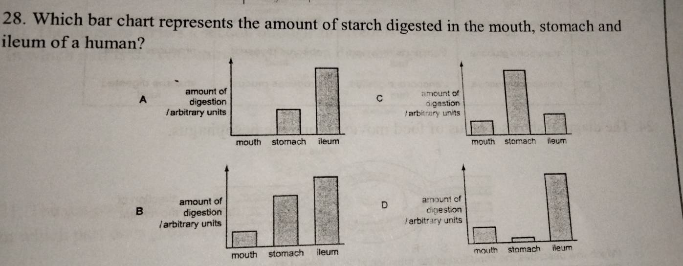 Solved: Which bar chart represents the amount of starch digested in the ...
