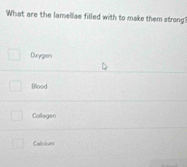 Solved: What are the lamellae filled with to make them strong? Oxygen ...