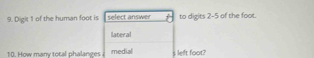 Solved: Digit 1 of the human foot is select answer to digits 2-5 of the ...