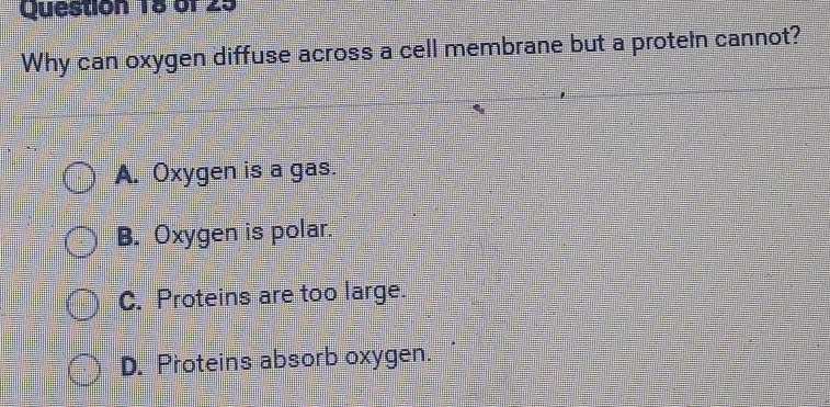 Solved: Why can oxygen diffuse across a cell membrane but a proteln ...