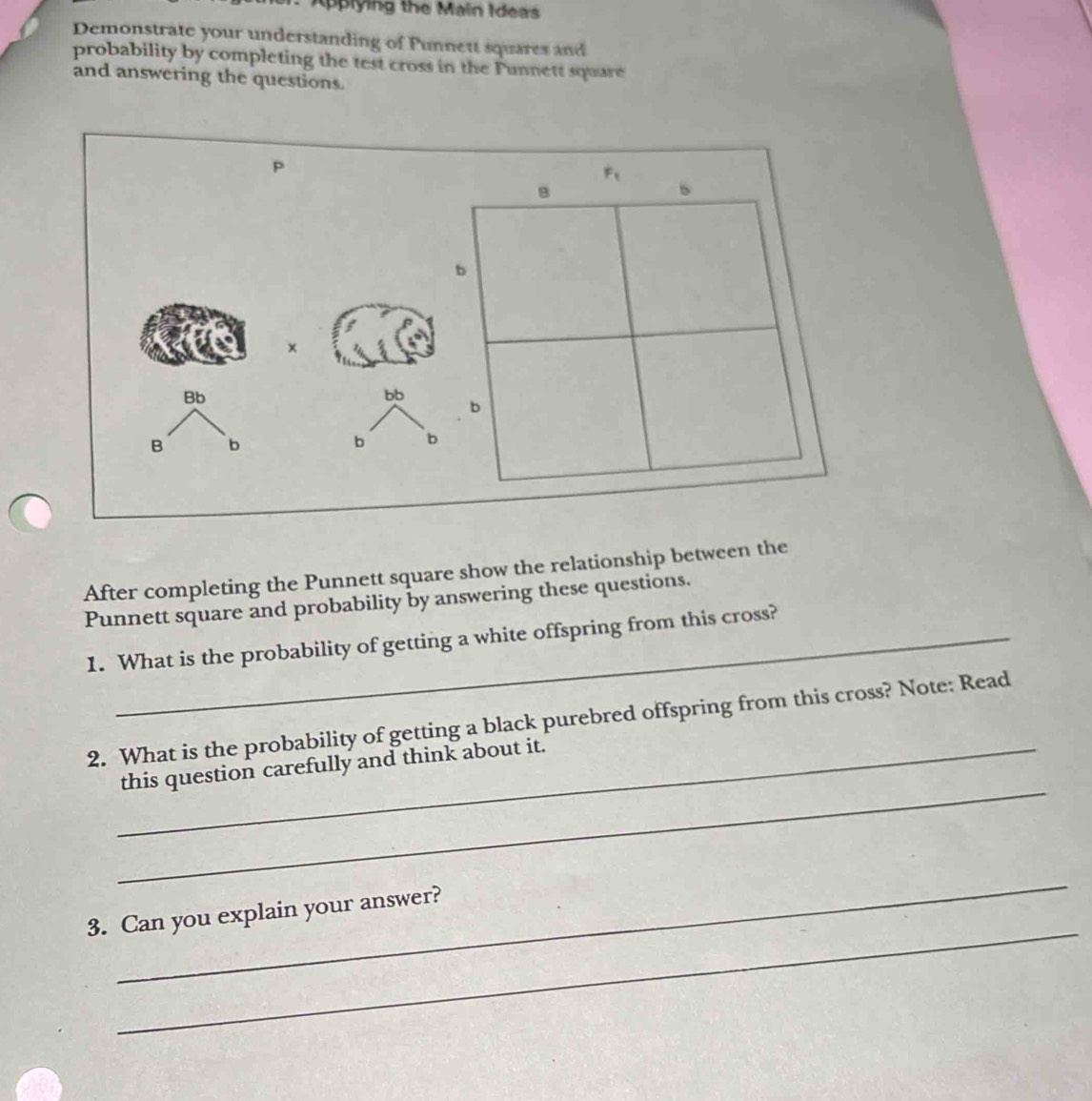 Solved: Applying the Main Ideas Demonstrate your understanding of ...