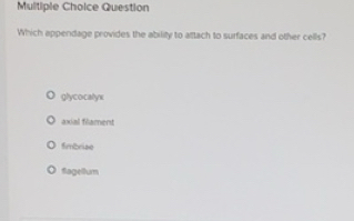 Solved: Question Which appendage provides the ability to attach to ...
