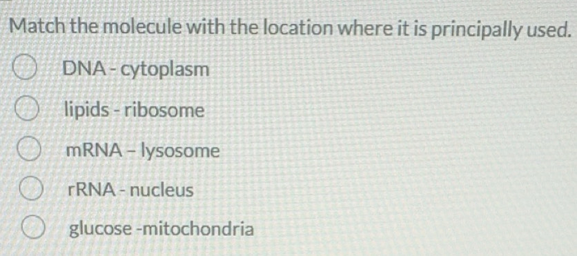 Solved: Match the molecule with the location where it is principally ...