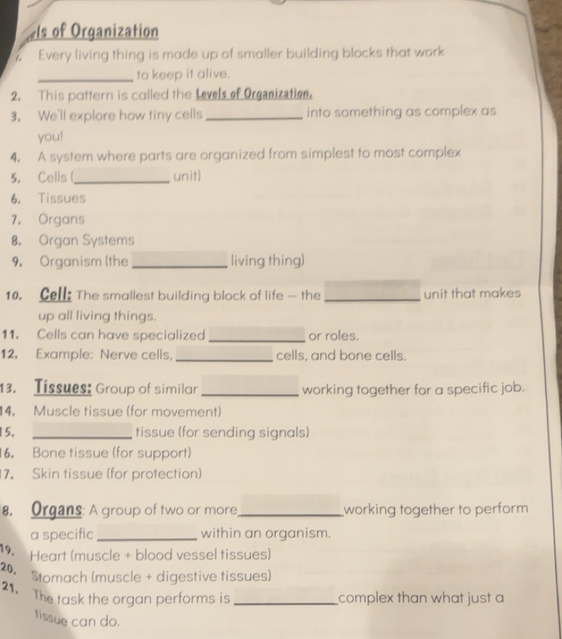 Solved: ls of Organization Every living thing is made up of smaller ...