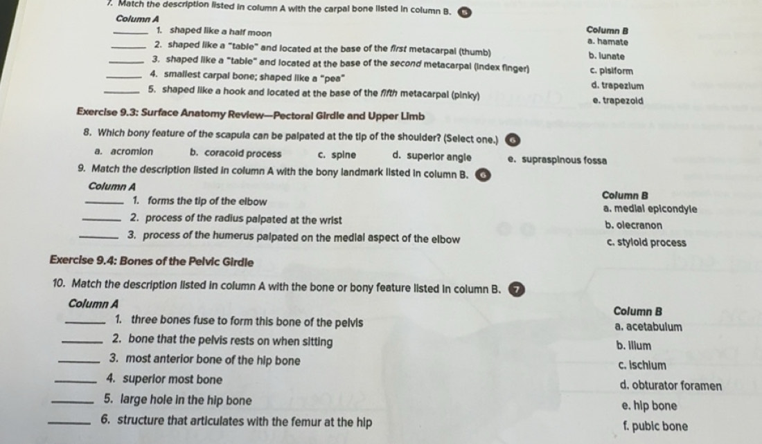 Solved: Match the description listed in column A with the carpal bone ...