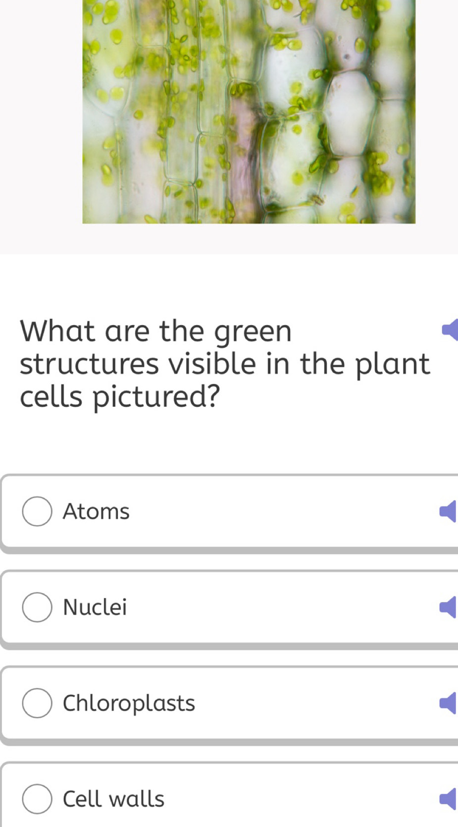 Solved: What are the green structures visible in the plant cells ...