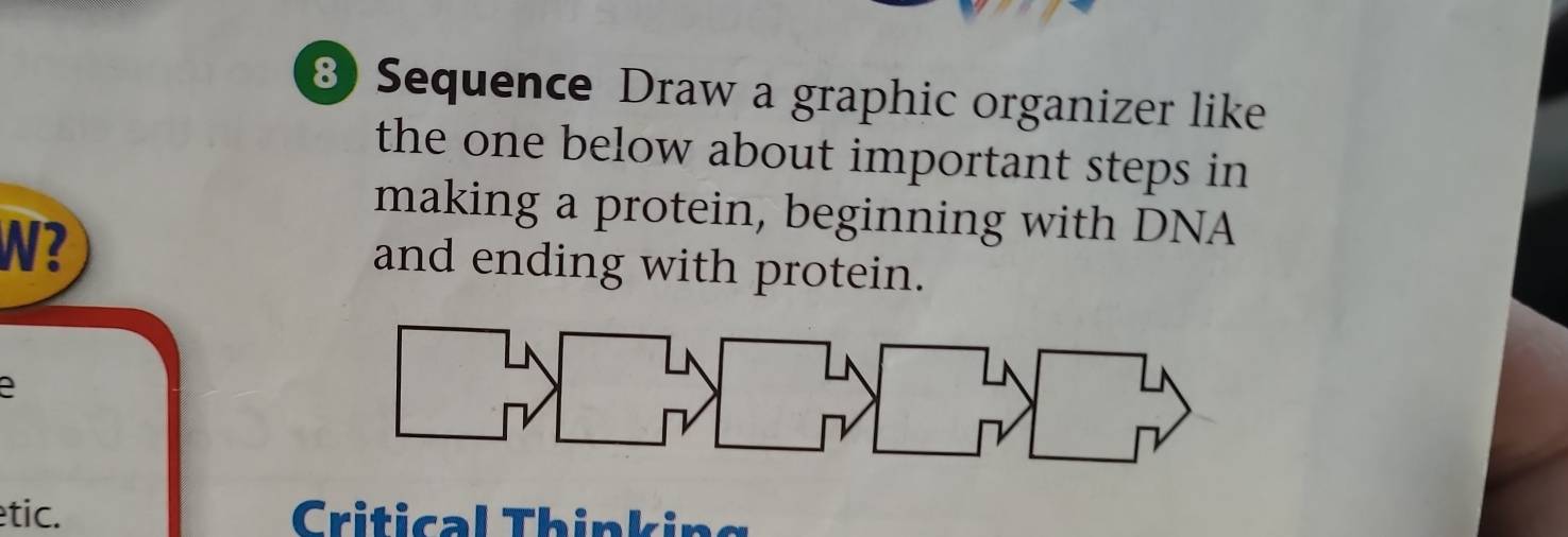 Solved: Sequence Draw a graphic organizer like the one below about ...