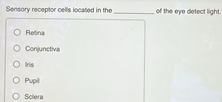 Solved: Sensory receptor cells located in the _of the eye detect light ...