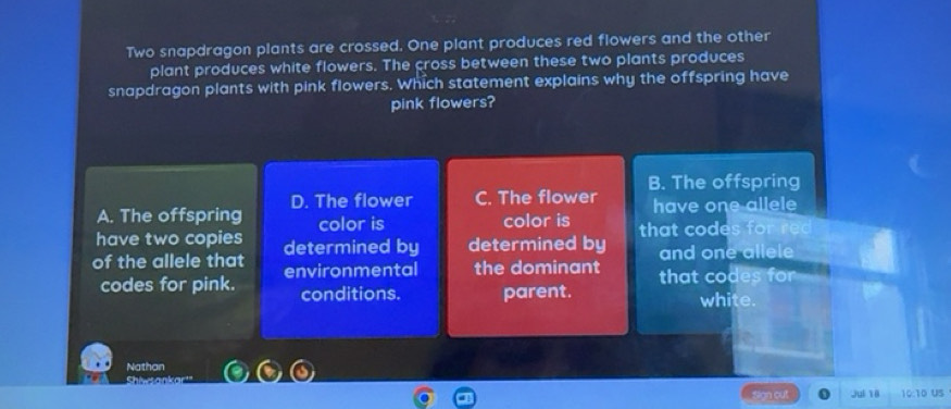 Solved: Two snapdragon plants are crossed. One plant produces red ...