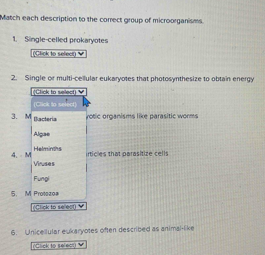 Solved: Match each description to the correct group of microorganisms ...