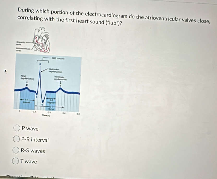 Solved: During which portion of the electrocardiogram do the ...