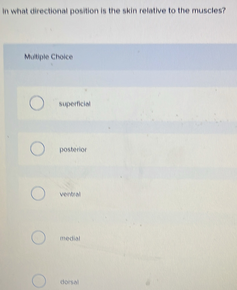 Solved: In what directional position is the skin relative to the ...
