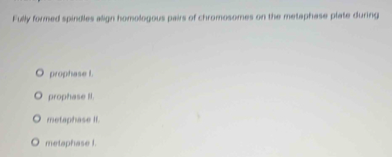 Solved: Fully formed spindles align homologous pairs of chromosomes on ...