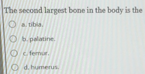 Solved: The second largest bone in the body is the a. tibia. b ...