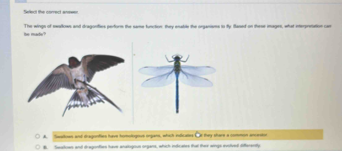 Solved: Select the correct answer. The wings of swallows and ...