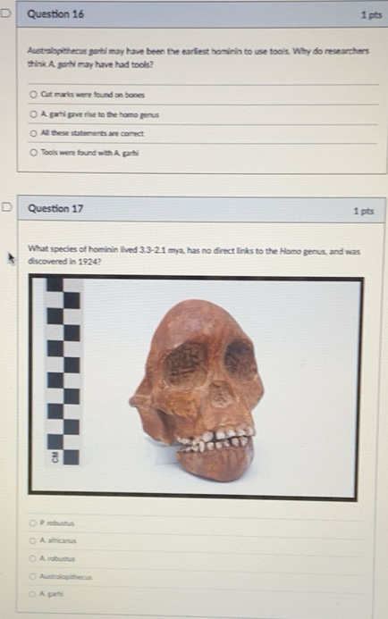 Solved: Australopithecus garbi may have been the earliest hominin to ...