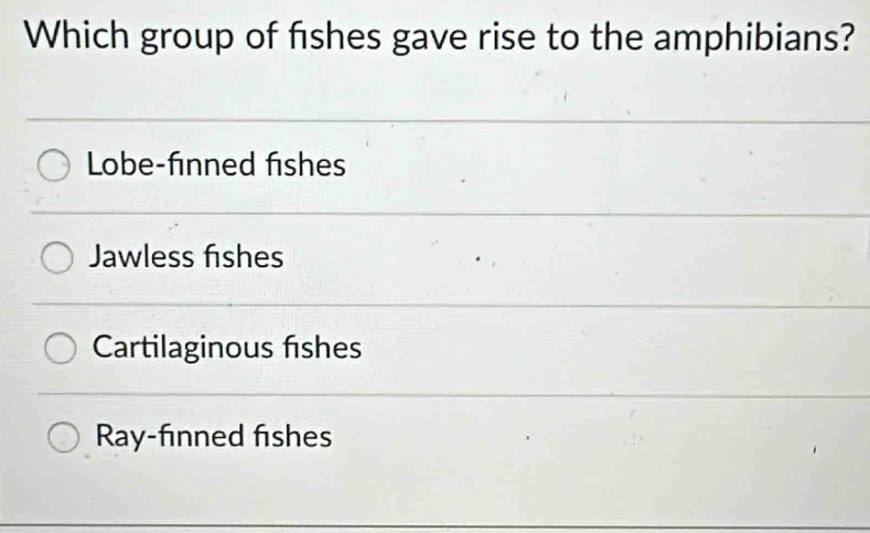 Solved: Which group of fishes gave rise to the amphibians? Lobe-finned ...