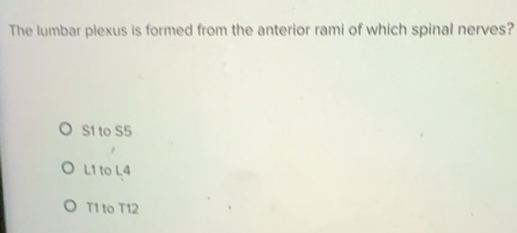Solved: The lumbar plexus is formed from the anterior rami of which ...