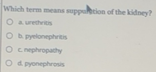 Solved: Which term means suppuration of the kidney? a. urethritis b ...