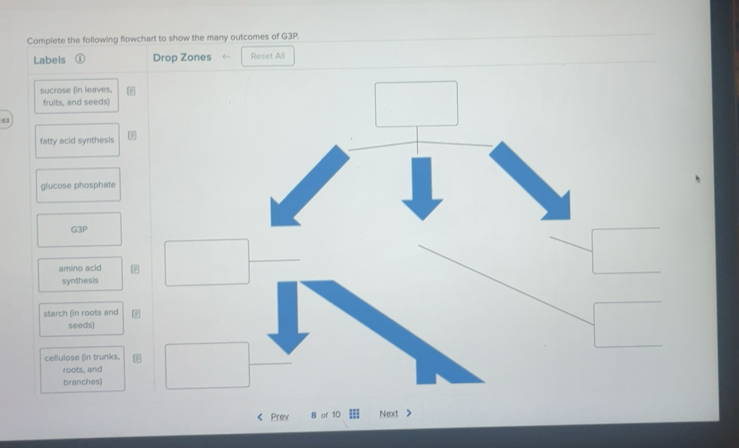 Solved: Complete the following flowchart to show the many outcomes of ...