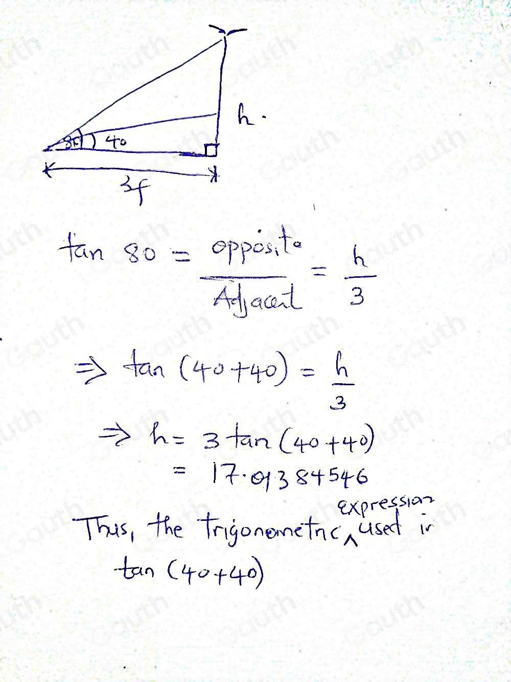 Solved: A palm tree is supported by two guy wires as shown in the ...