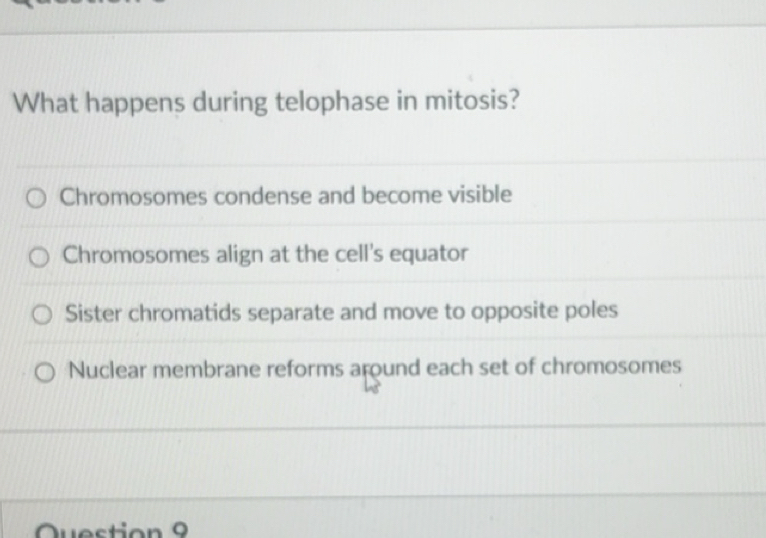 Solved: What happens during telophase in mitosis? Chromosomes condense ...